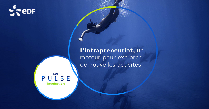 EDF Pulse Incubation - Programme d’intrapreneuriat du groupe EDF