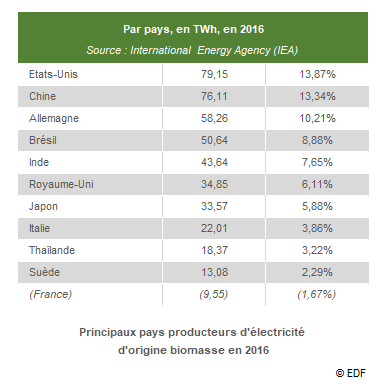 La biomasse en chiffres | EDF France
