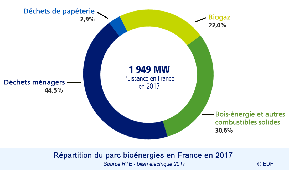 La biomasse en chiffres | EDF France